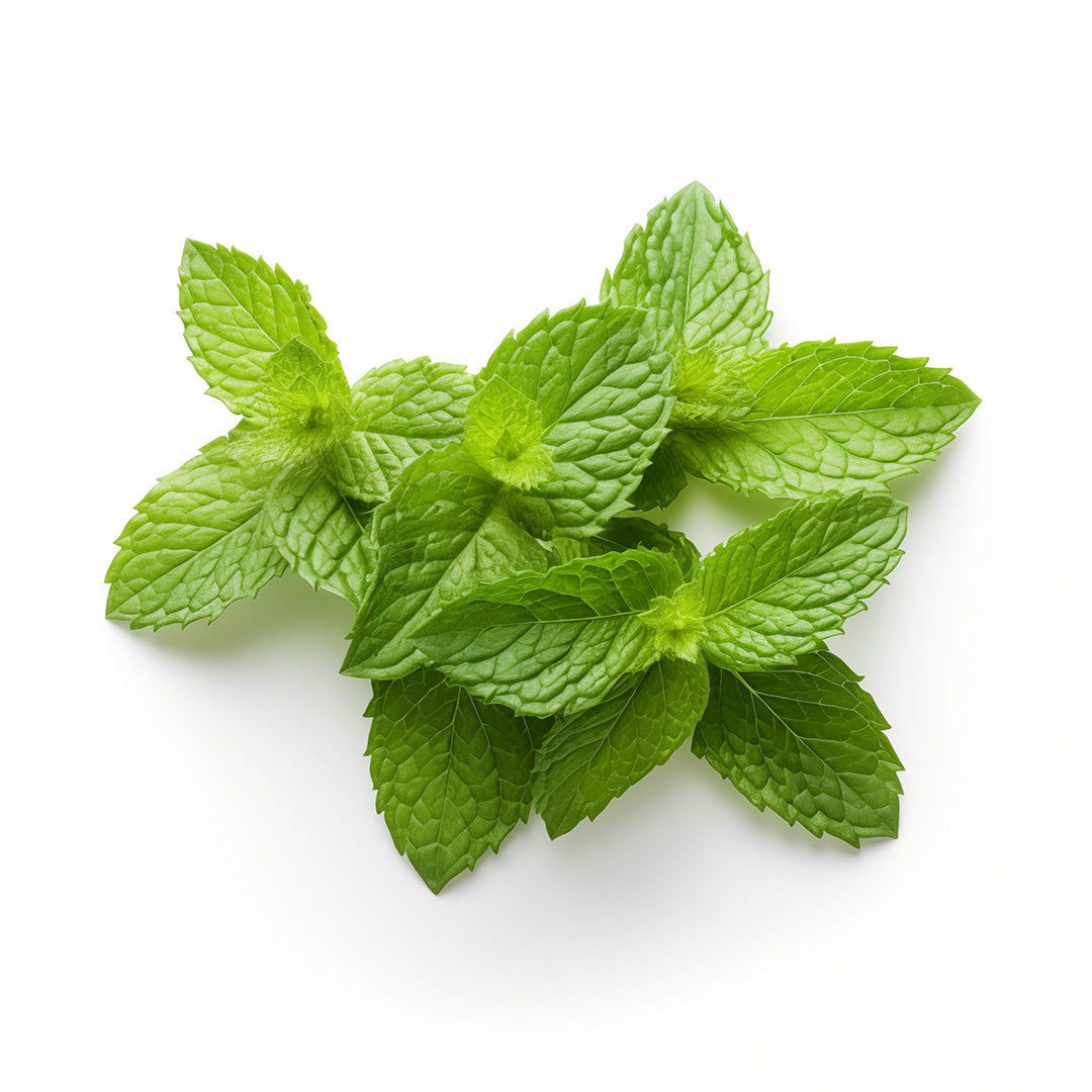 BestLin Gel for Joint & Muscle Pain Relief | Ayurvedic Pain Relief Gel ...